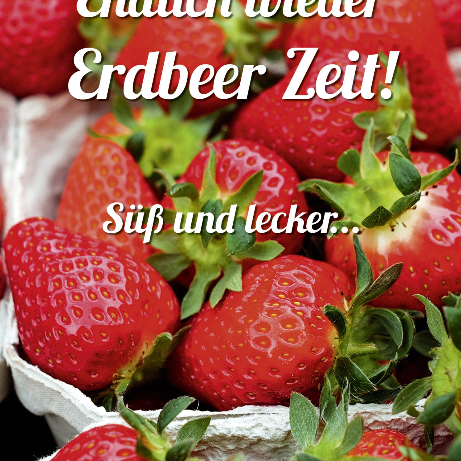 Aktionsangebot: Plakat + 15 Erdbeer Eiskarten für die Erdbeerzeit ...